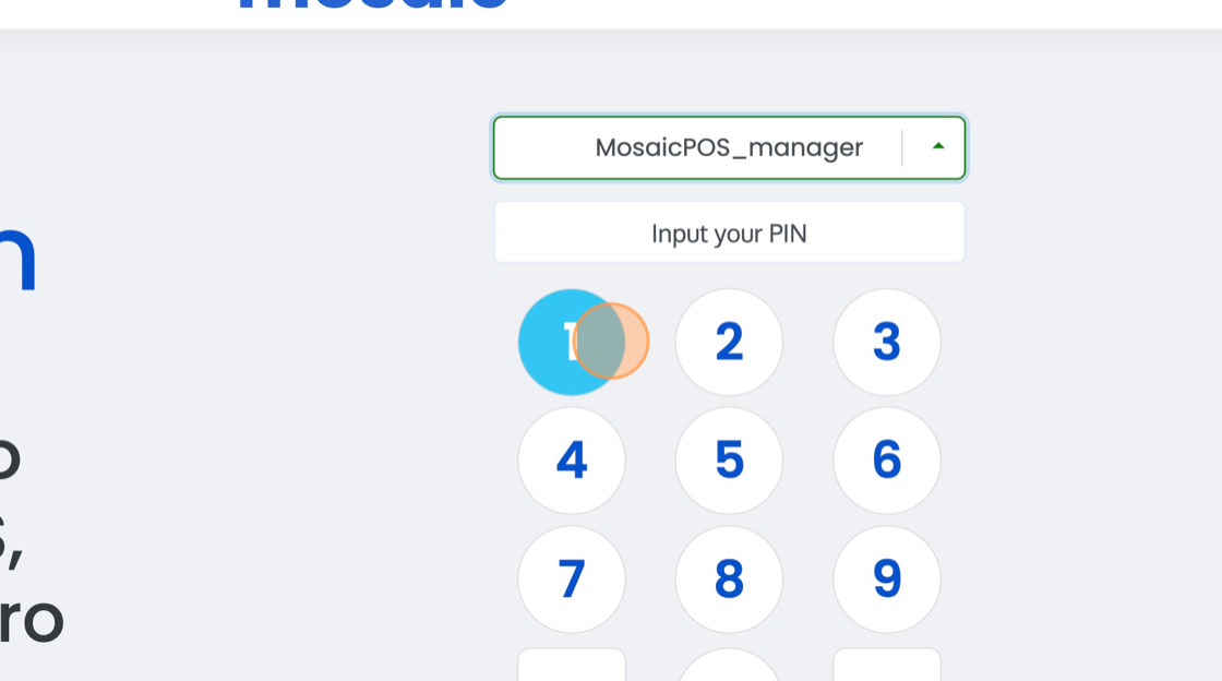 Logging-in to your POS (POS v1.5)